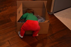 How to Remove Your Sock: A Toddler Pictorial - Going Dad